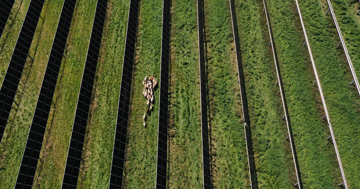 Greenbacker’s Cider solar project | IMI Intesa Sanpaolo