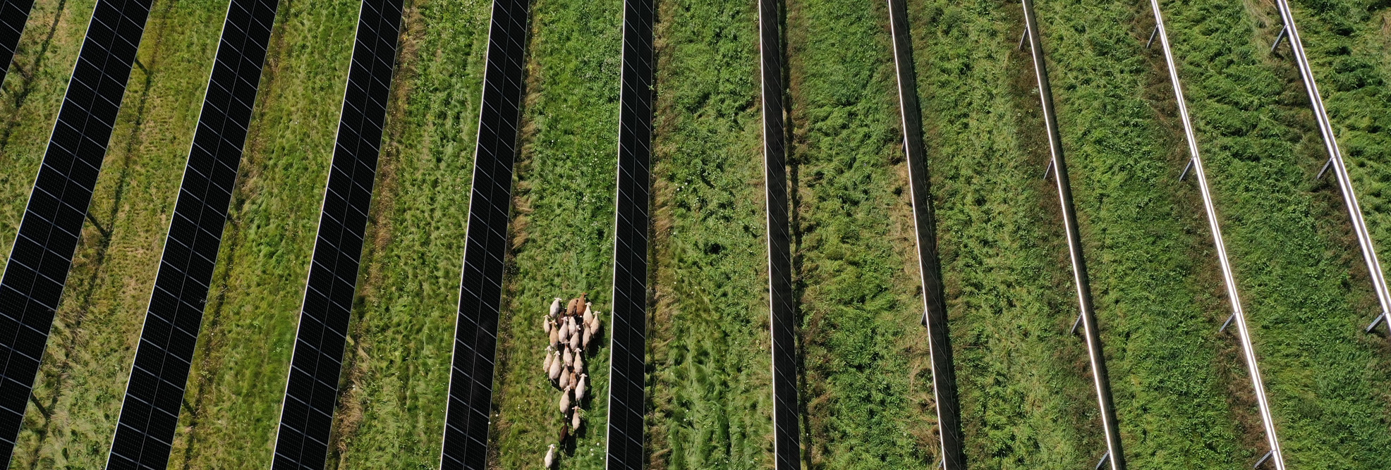 Greenbacker’s Cider solar project | IMI Intesa Sanpaolo