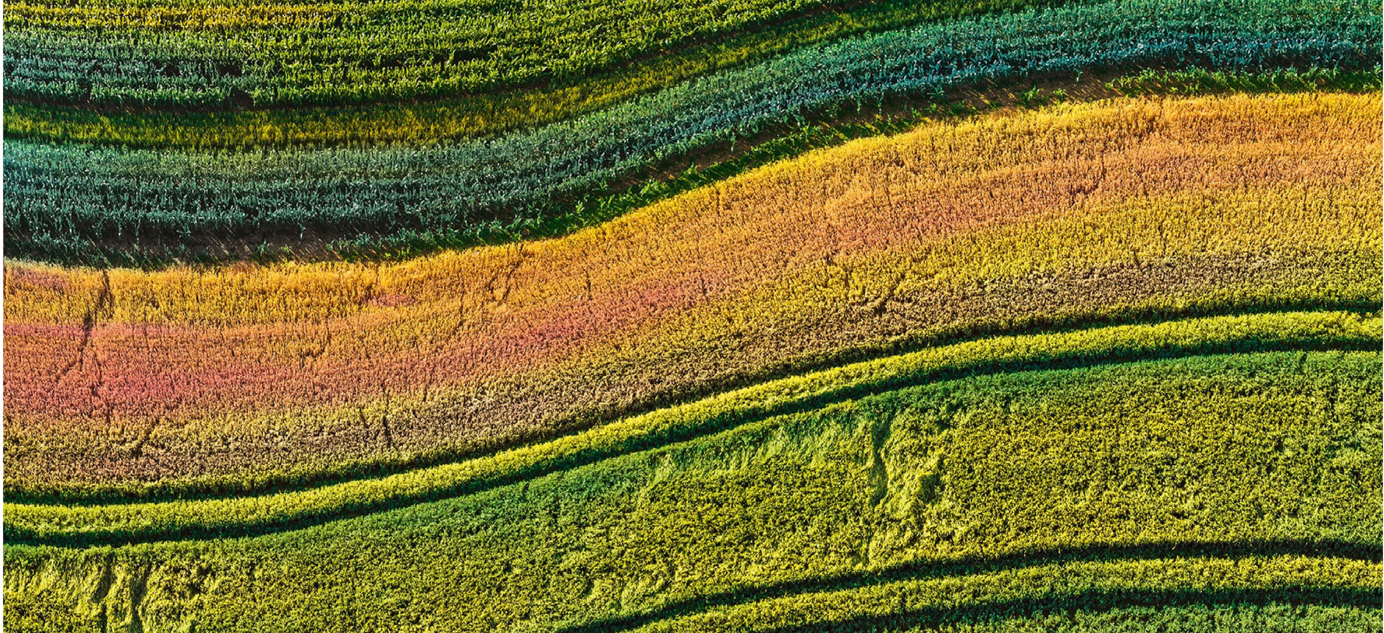 Nextchem accelerates the energy transition | IMI Intesa Sanpaolo